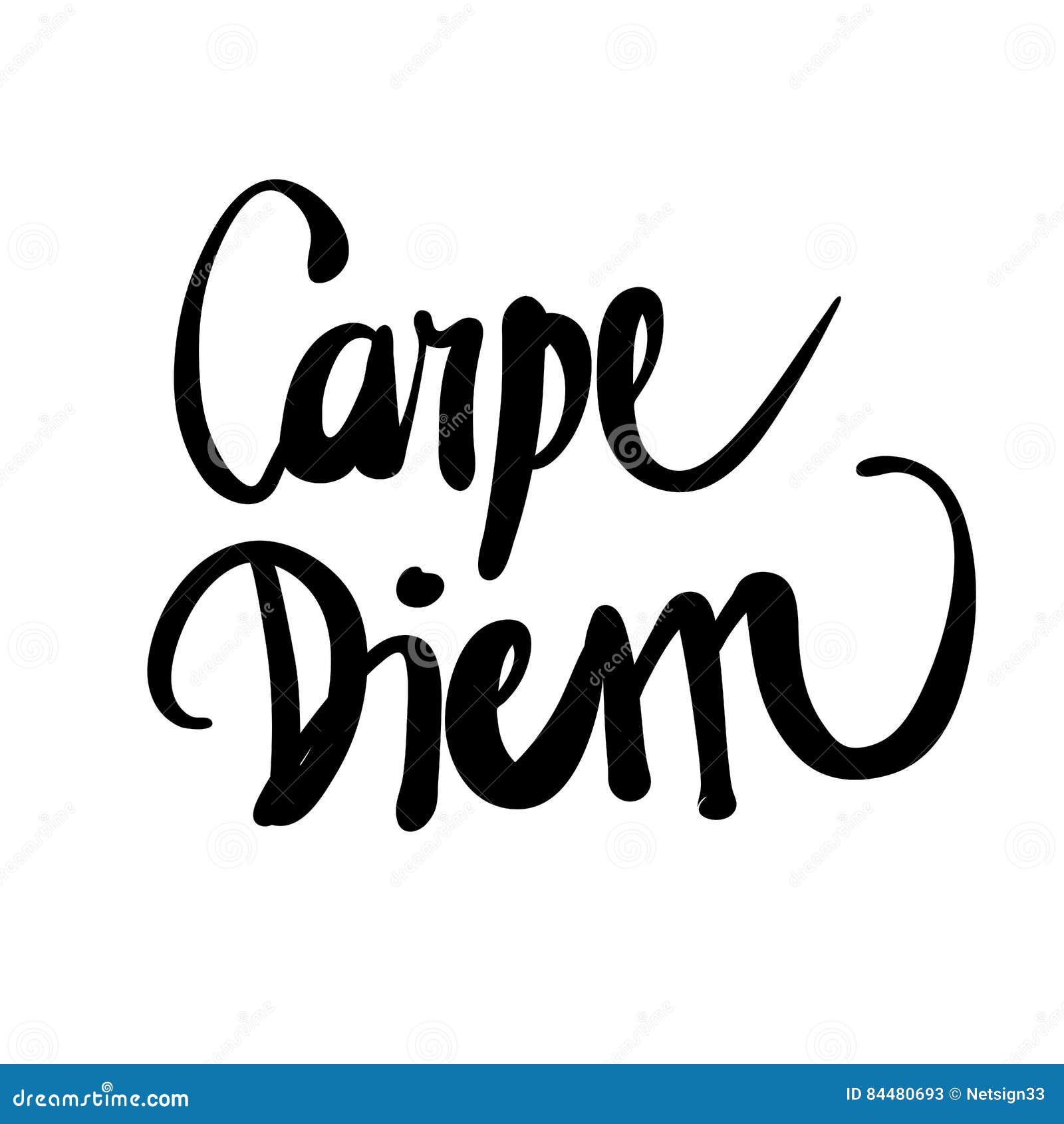 Carpe diem, Use the day stock vector. Illustration of typography - 84480693
