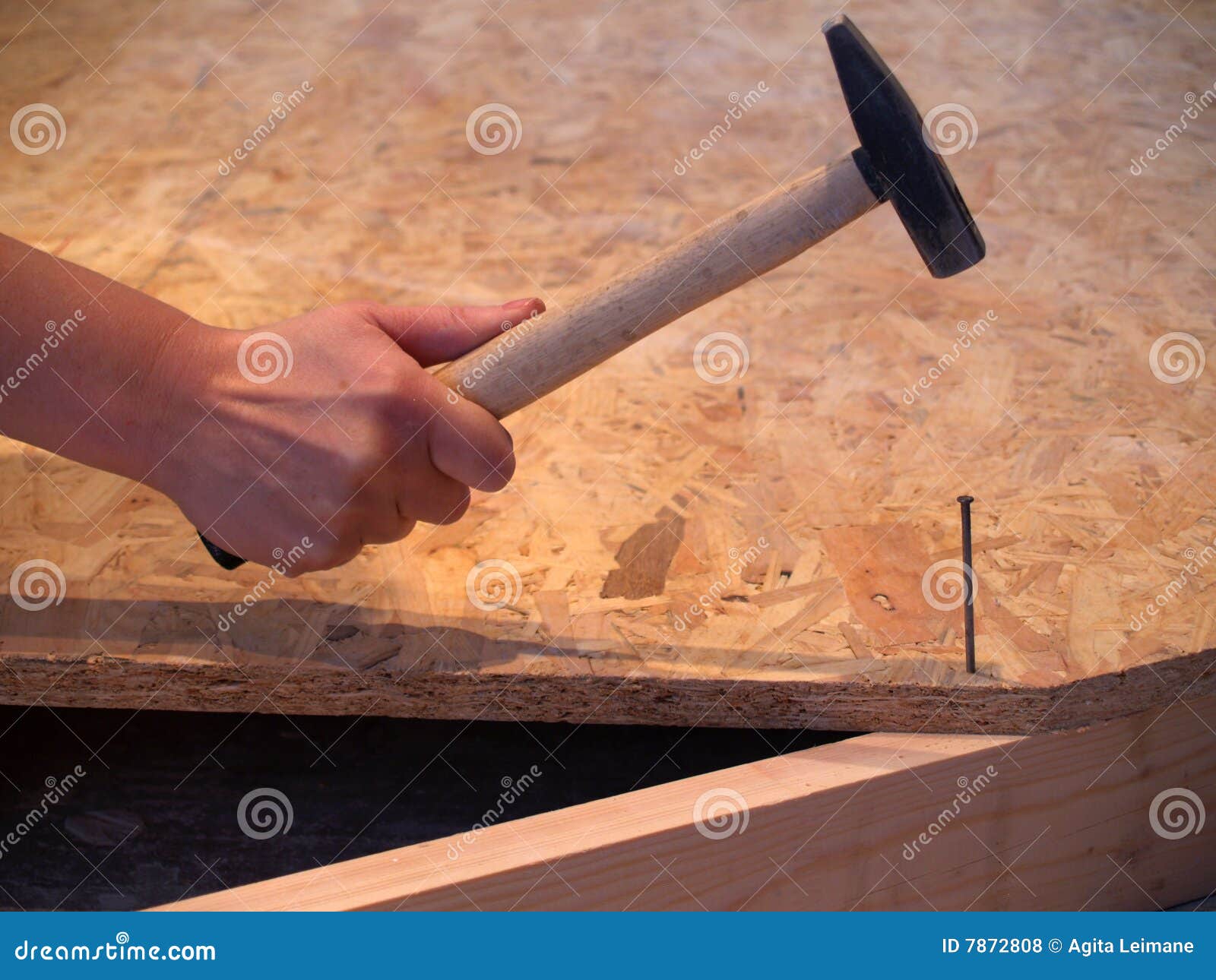 Carpenter stock photo. Image of work, build, worker, carpenter - 7872808