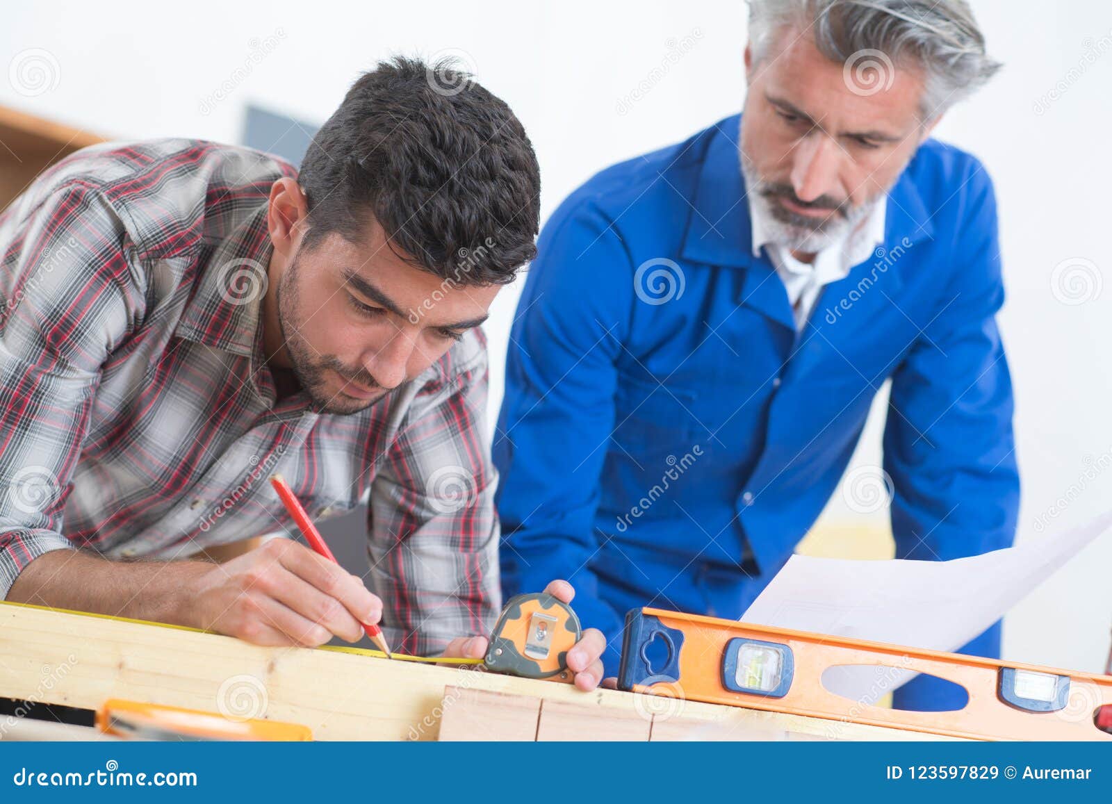 Carpenter and Engineer Working Together Stock Image - Image of isolated ...