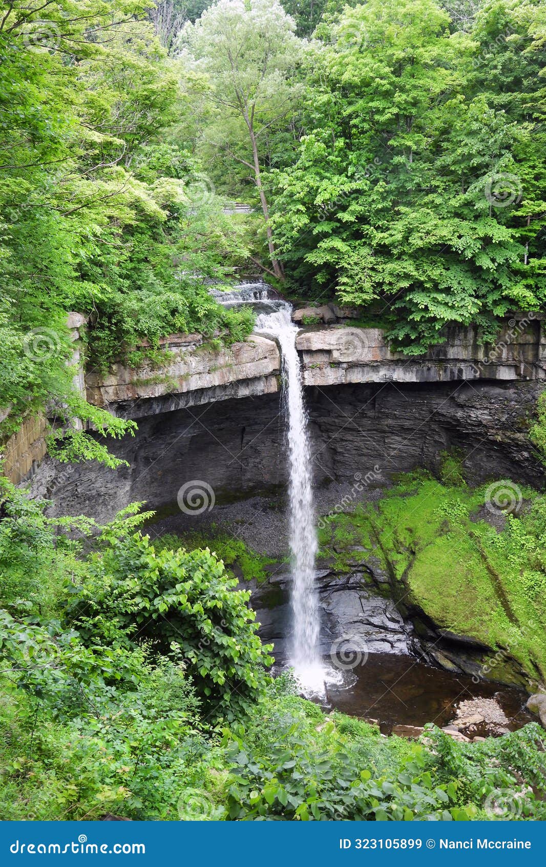 Carpenter Falls Unique Area a Waterfall in NYS FingerLakes Stock Image ...