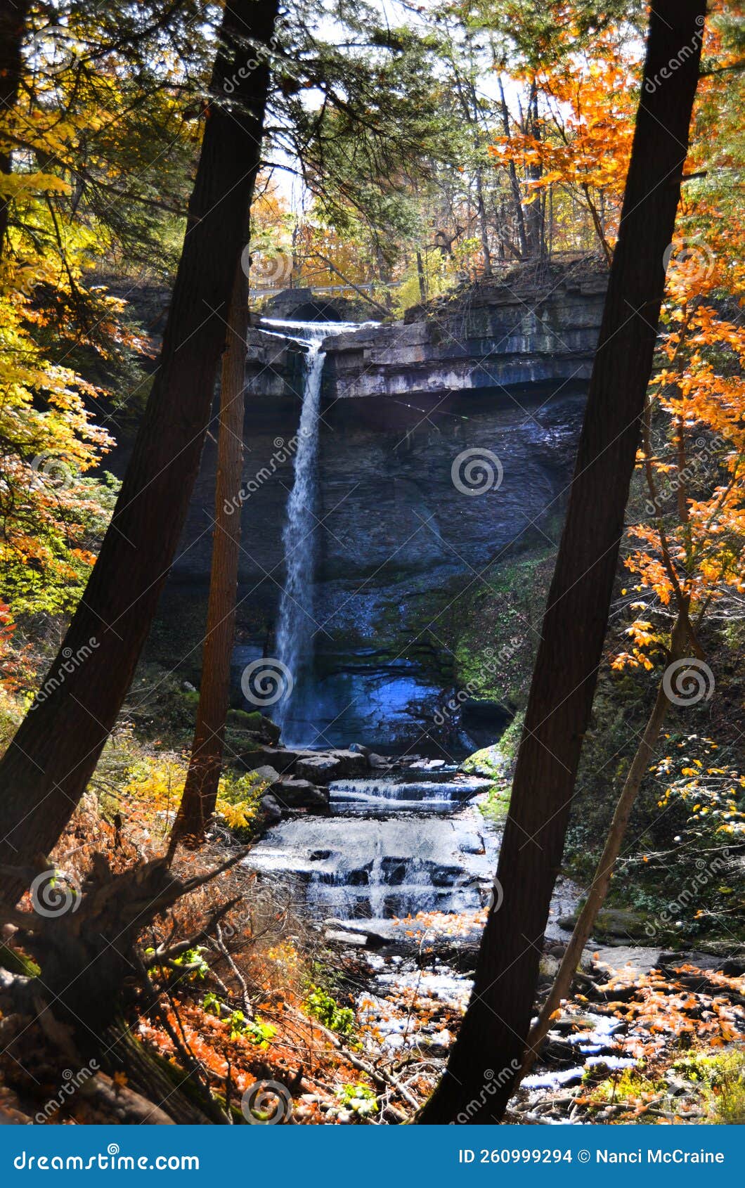 FingerLakes Carpenter Falls View from Bottom of Creek Stock Photo ...