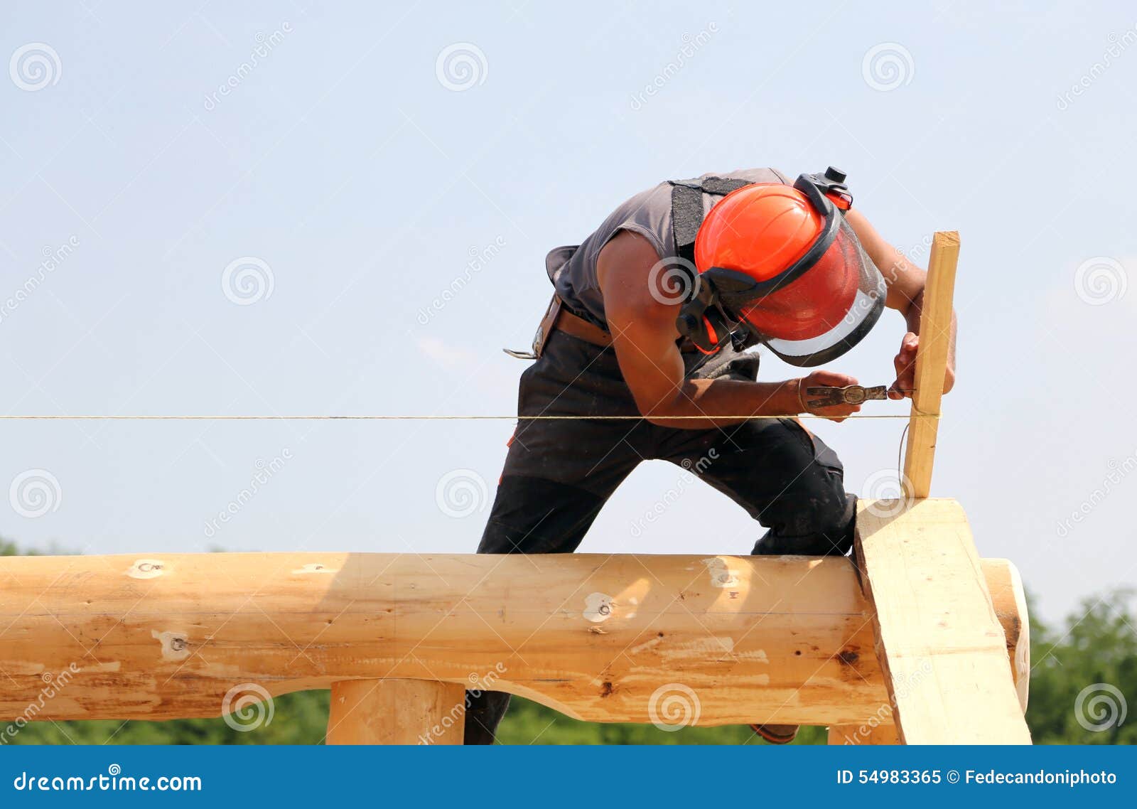 Carpenter with Helmet and Protective Equipment To Work Safely on Stock ...