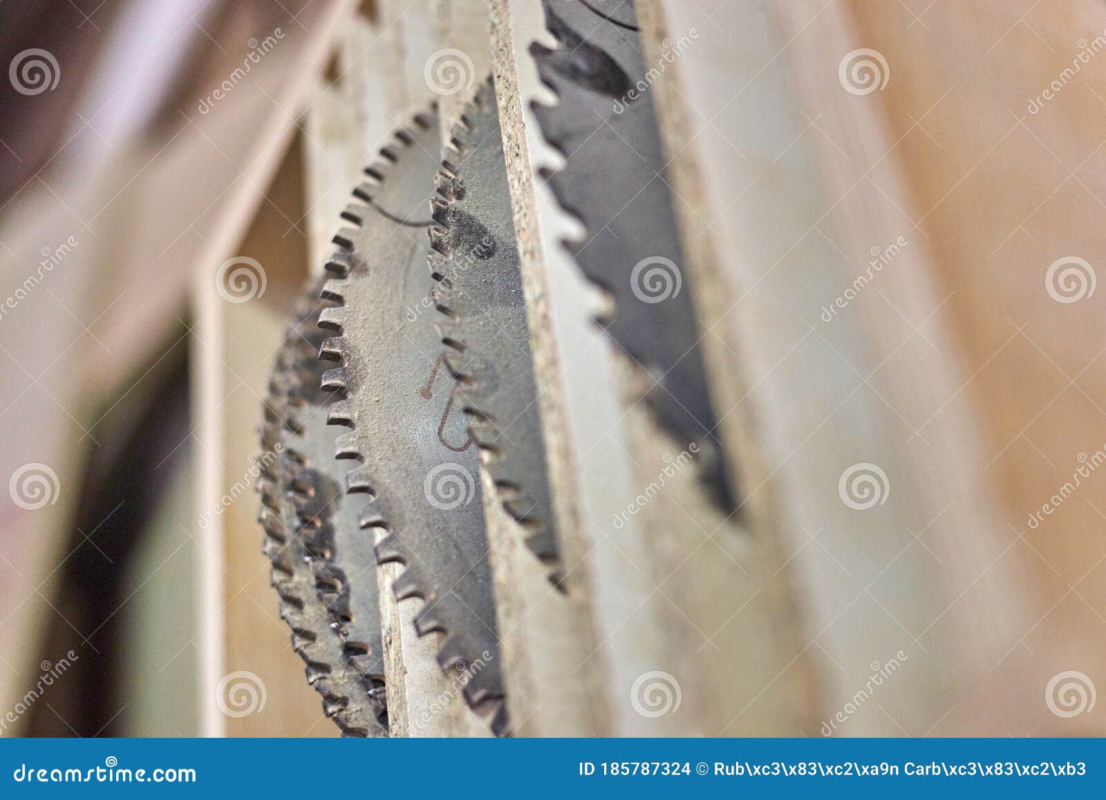 Carpenter Saws in a Woodworking Workshop Stock Photo - Image of disk ...