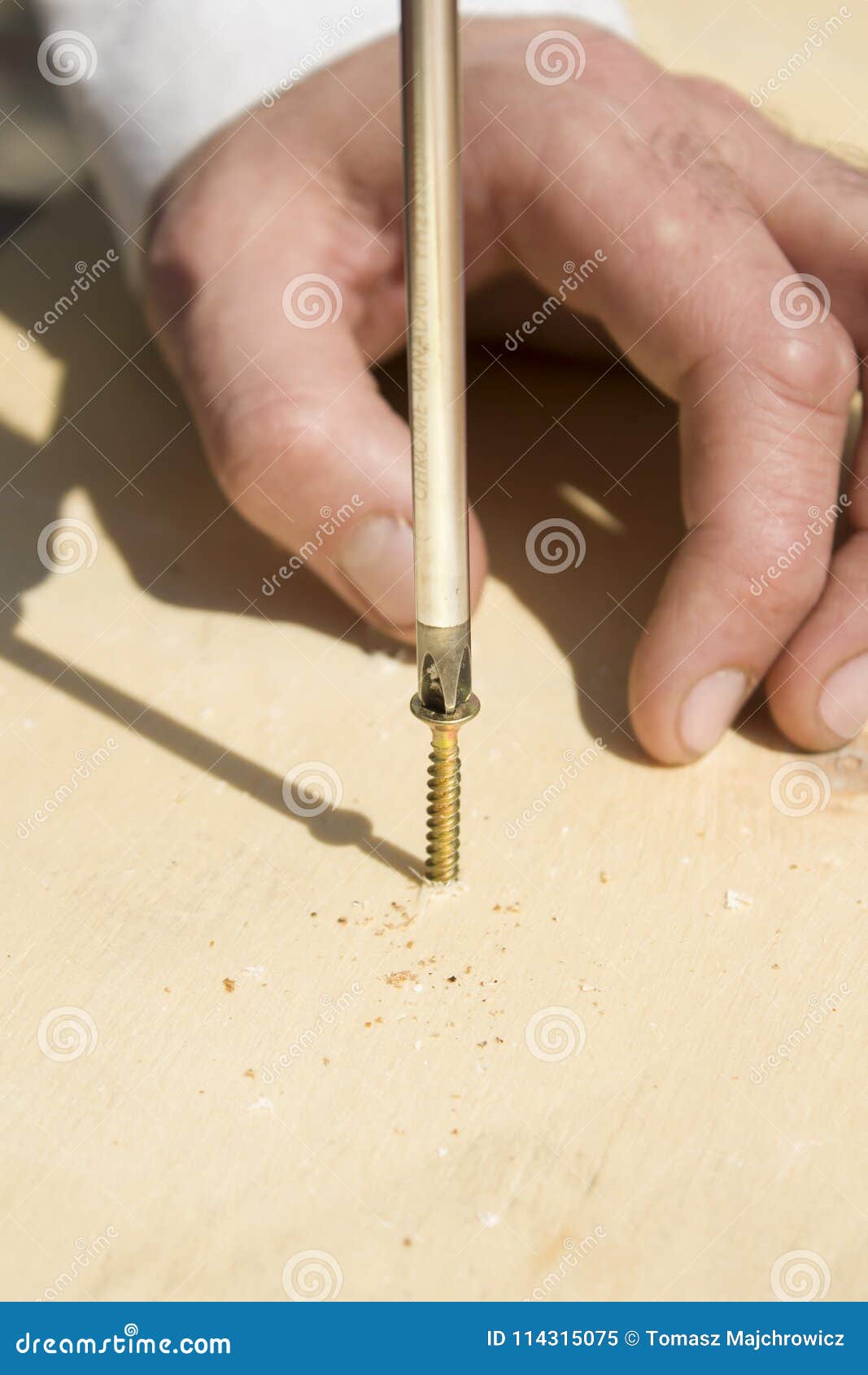 Carpenter Screws the Gold with a Screwdriver. Stock Image - Image of ...