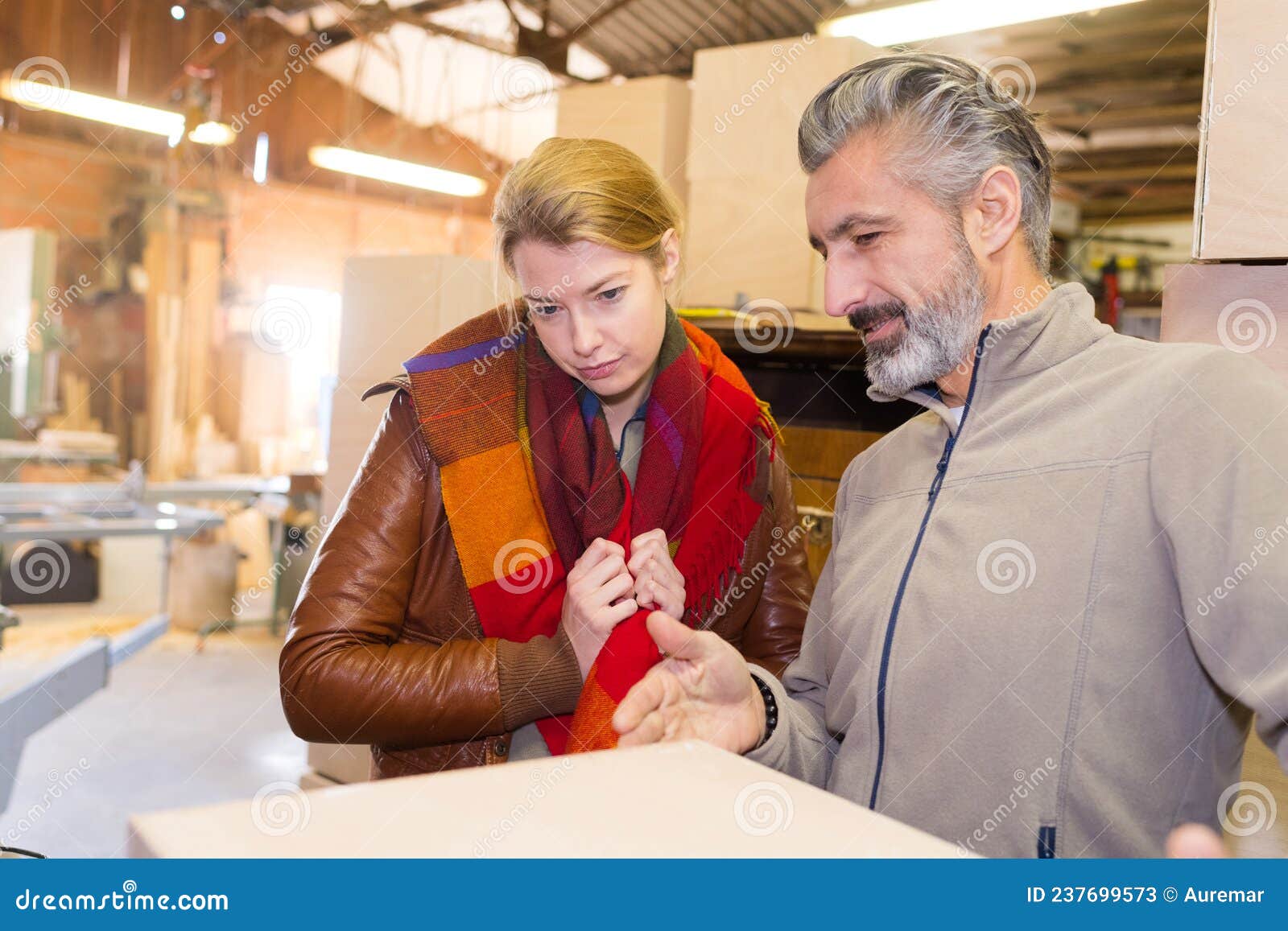 Carpenter Showing Design To Client Stock Image - Image of elegant ...