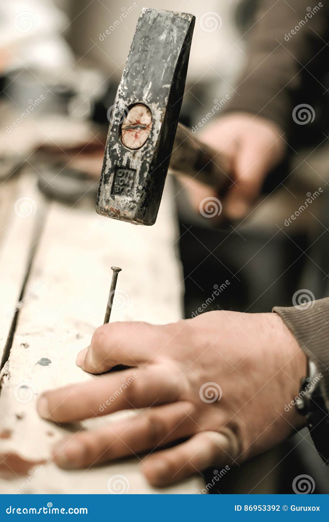 Carpenter Using Hammer for His Job in Carpentry Workshop Stock Photo ...