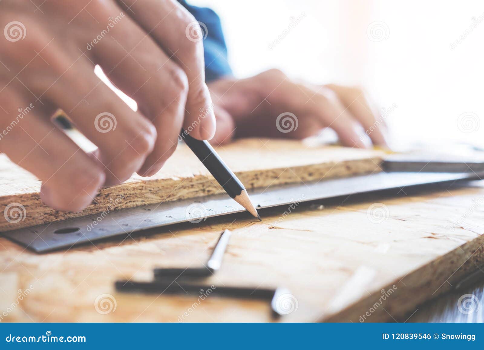 Carpenter Working Carefully Looking at the Plans Work in Carpentry. he ...