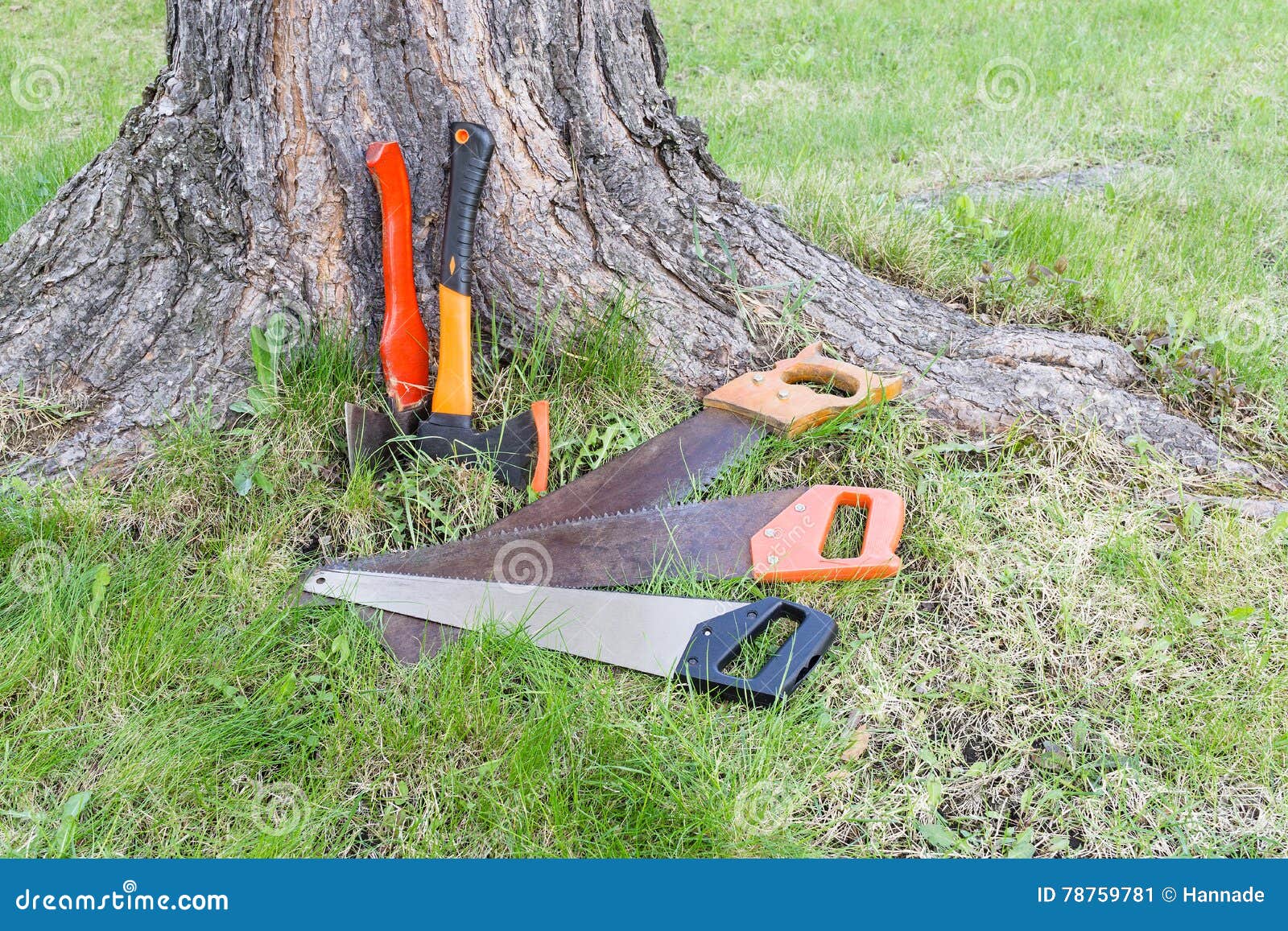 Carpentry tools near tree stock image. Image of nature - 78759781
