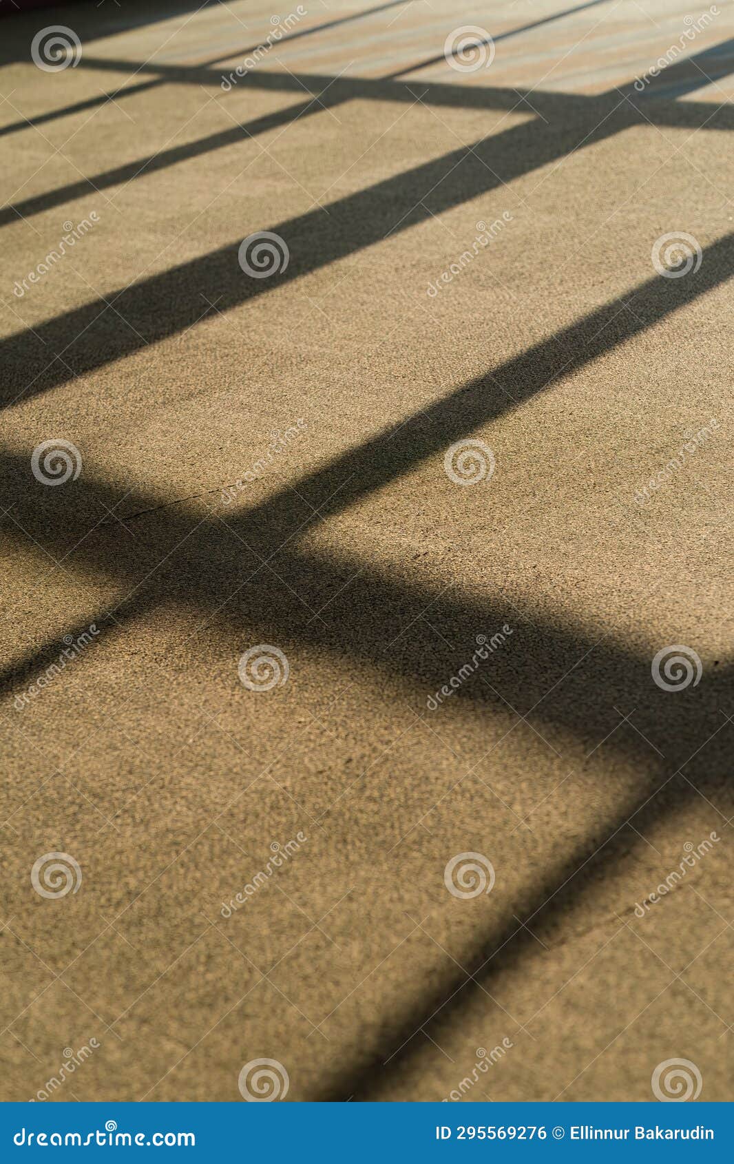 Carpet with Abstract Lines on Surface, Sunlight on the Rug, Silhouettes ...