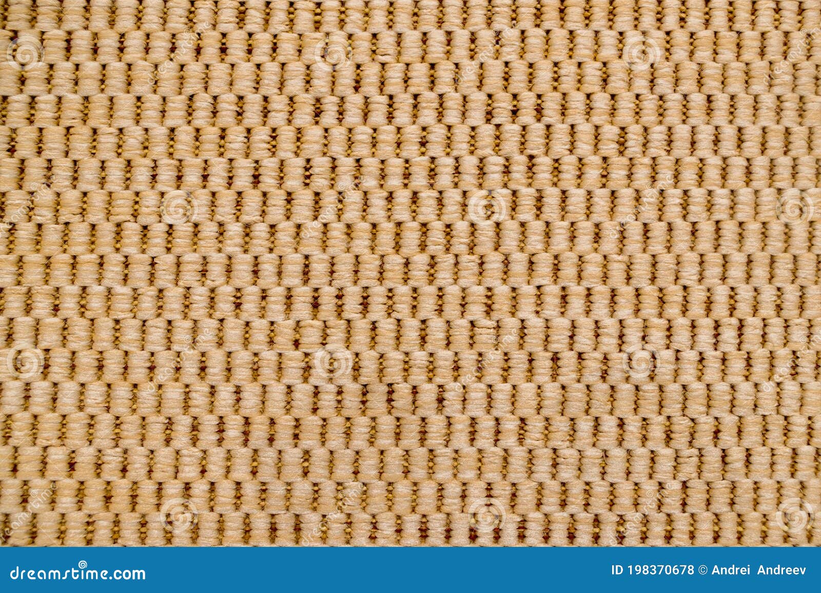 Carpet with Alternating Pattern of Vertical Beige Columns in Four Thick ...