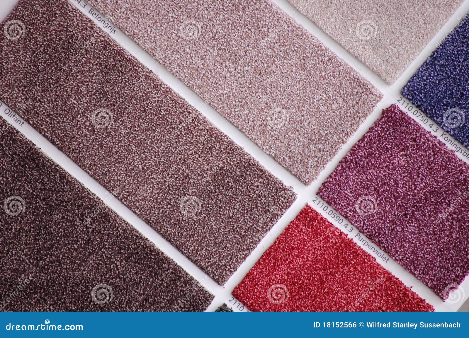 Carpet collection stock photo. Image of polyester, interior - 18152566