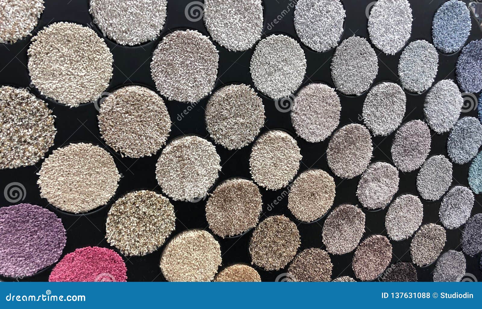 Carpet Color Samples Hanging on the Wall Stock Photo - Image of ...