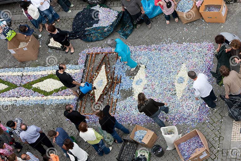Carpet of flowers 61 editorial stock photo. Image of neighbors - 20471428