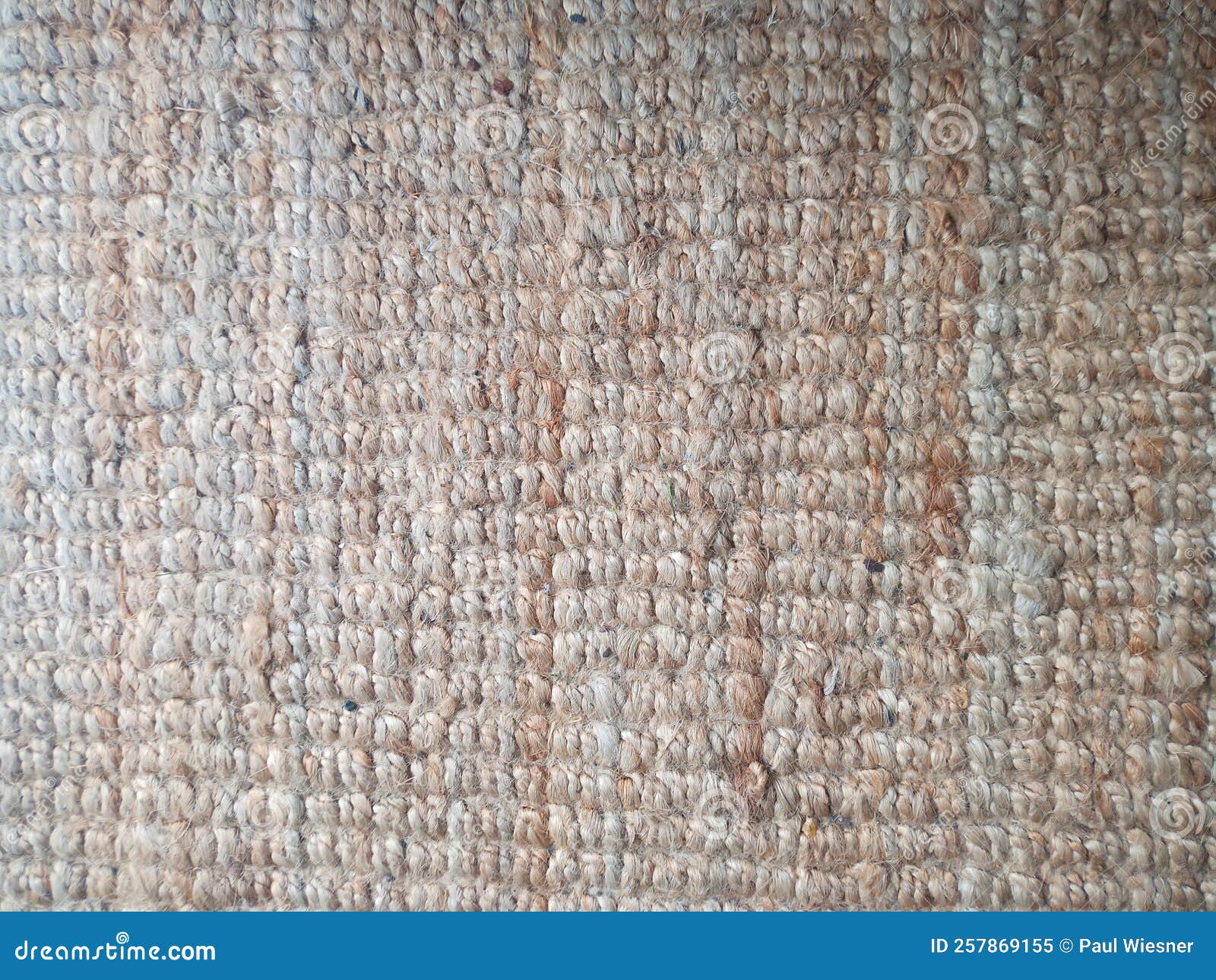 Carpet Pile Loop Closeup of Sandy Colored Wool Stock Image - Image of ...