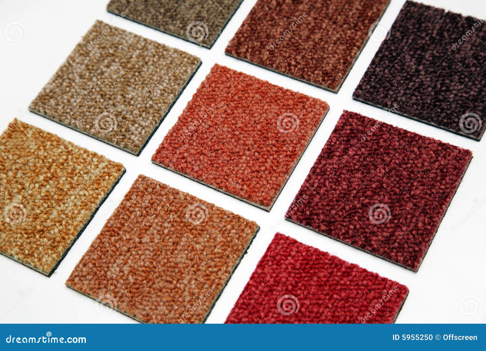 Carpet samples stock photo. Image of showing, rugs, sale - 5955250
