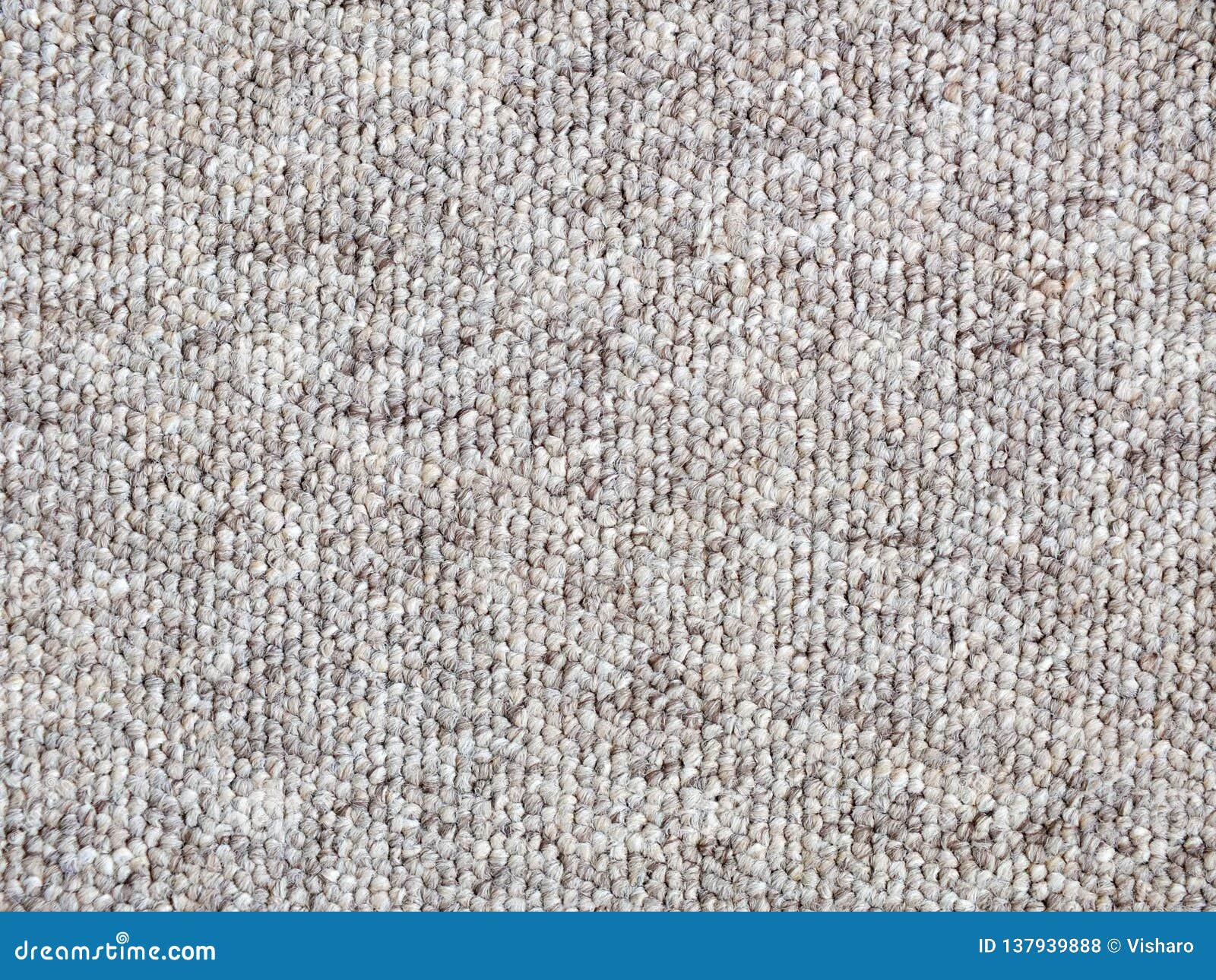 Carpet Texture Close-up stock photo. Image of fibre - 137939888