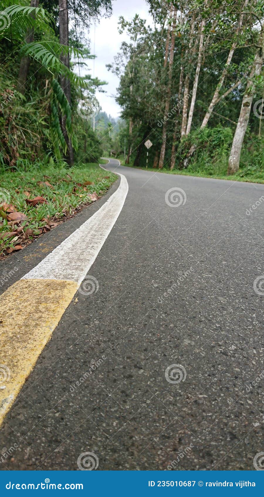 A Carpeted Road with a Side View Stock Image - Image of road, sidea ...