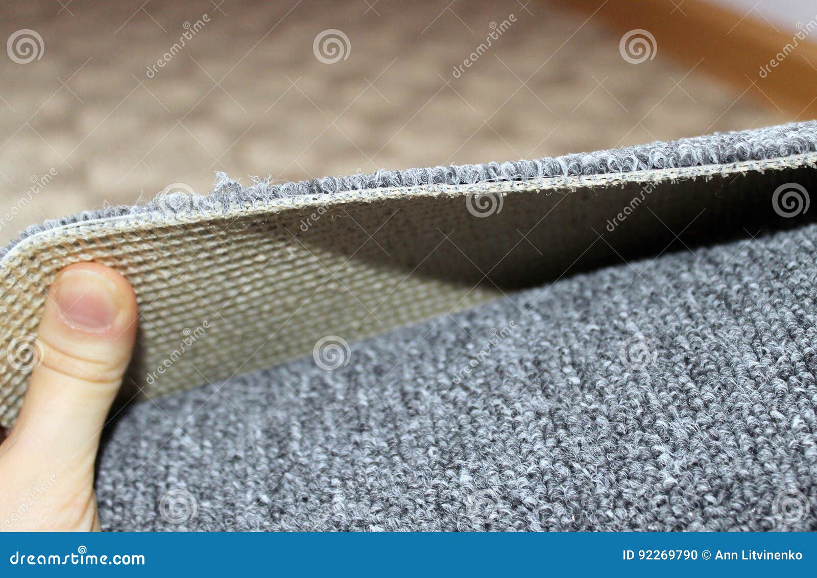 Carpeting stock photo. Image of home, carpeting, grey - 92269790