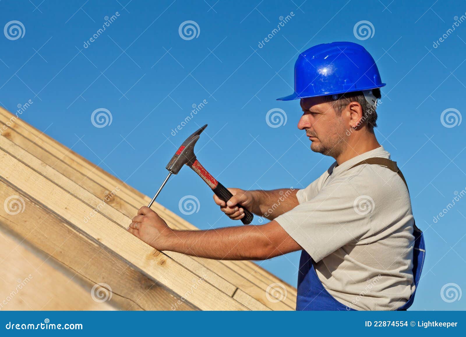 Carpintero Que Trabaja En La Azotea Foto de archivo - Imagen de hombre ...