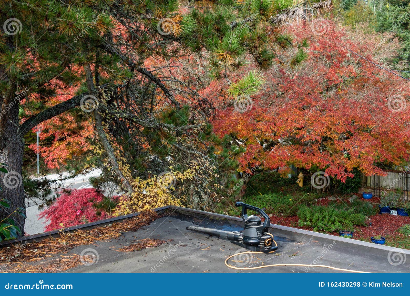 Carport Rooftop, Preparing for Fall Cleaning with Leaf Blower Stock ...