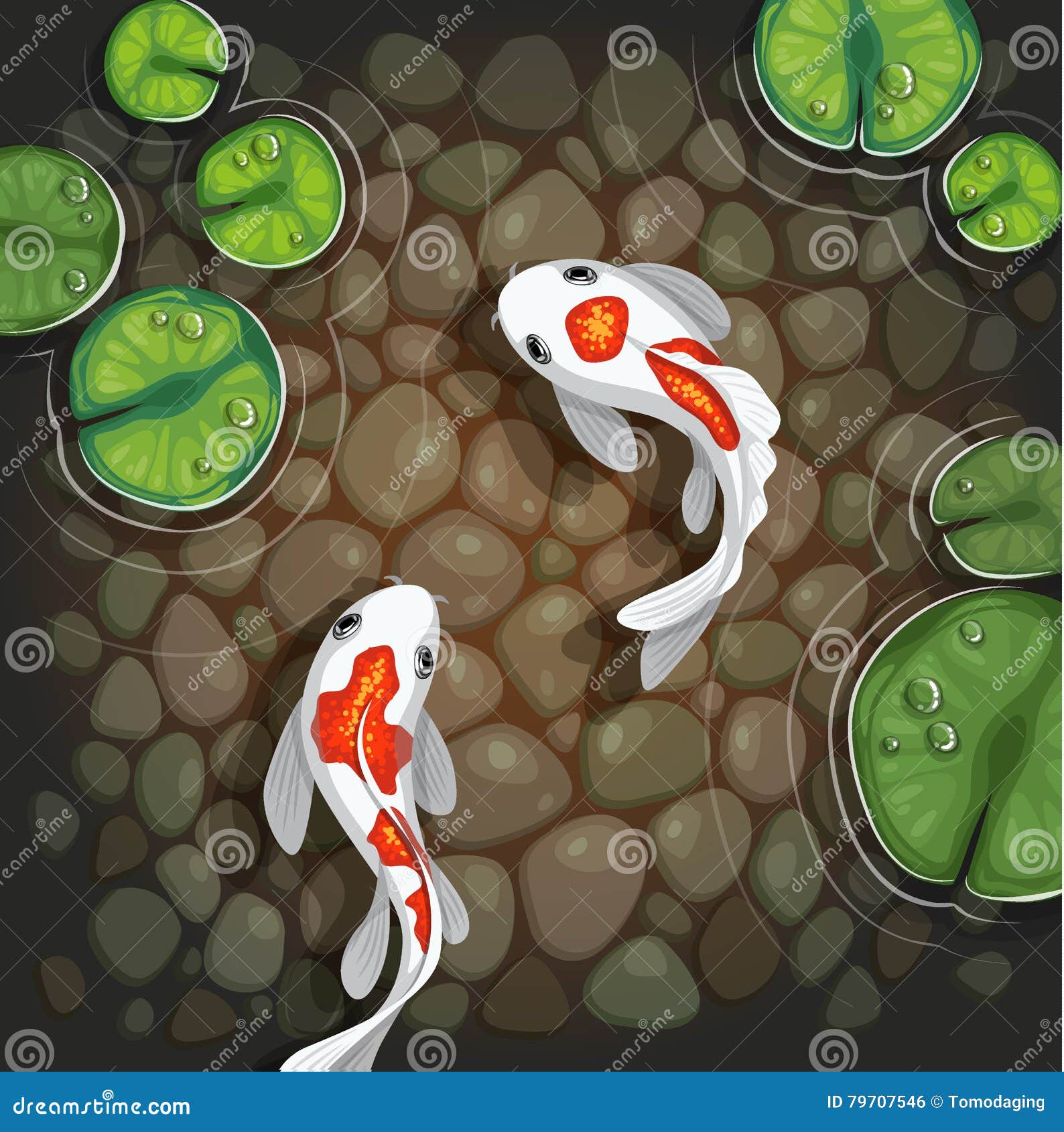 Carps Underwater Top View Cartoon Vector | CartoonDealer.com #79707997