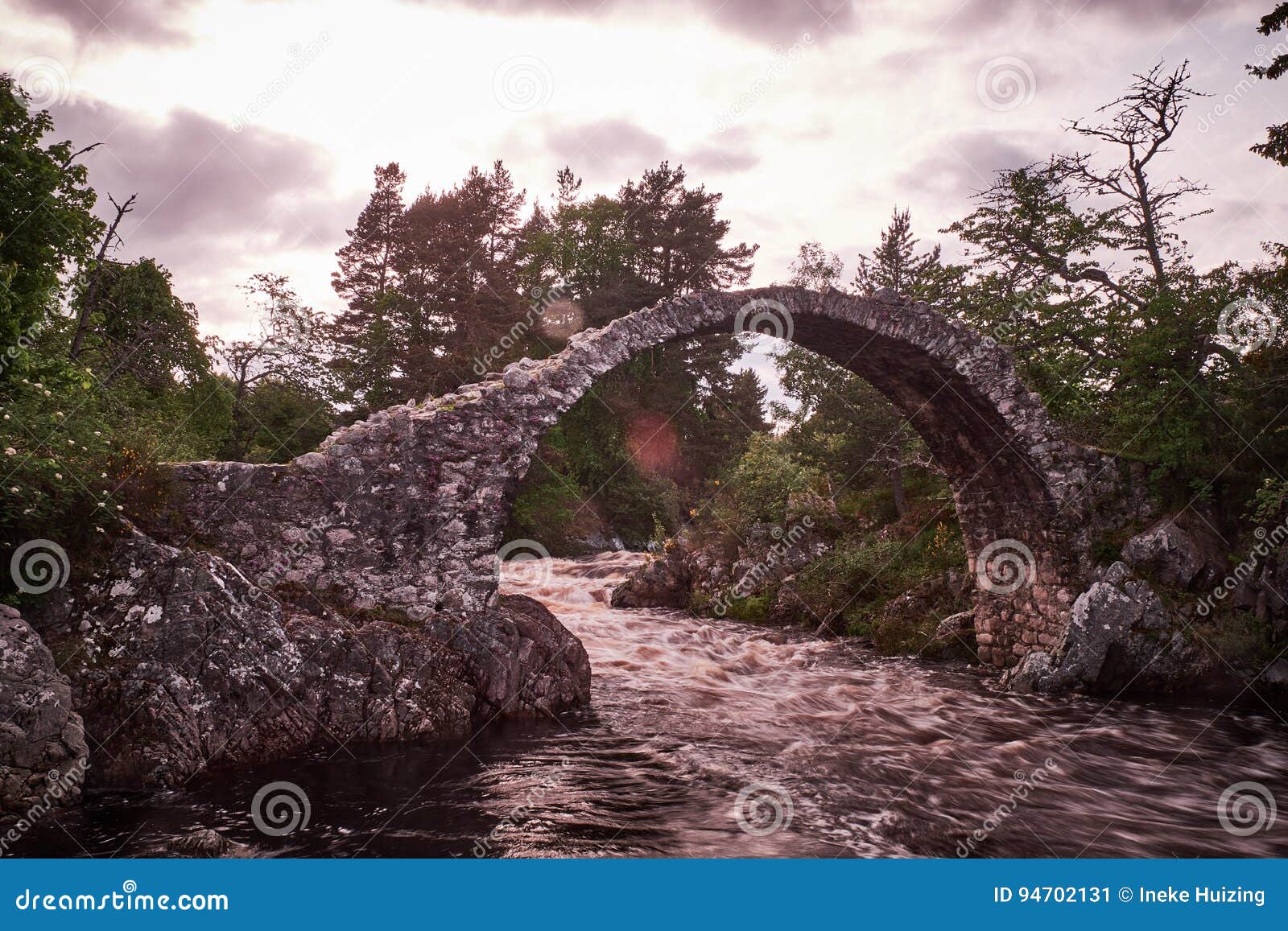 The Carrbridge Bridge in Scotland Stock Image - Image of eastcost ...
