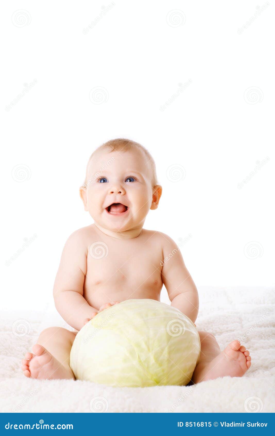 Carregado do repolho imagem de stock. Imagem de folha - 8516815