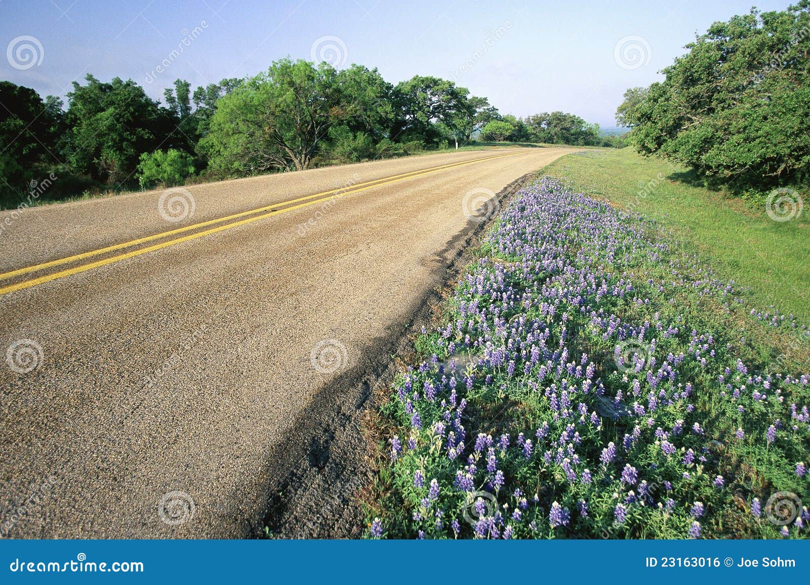 Carretera rural foto de archivo. Imagen de salvaje, escénico - 23163016