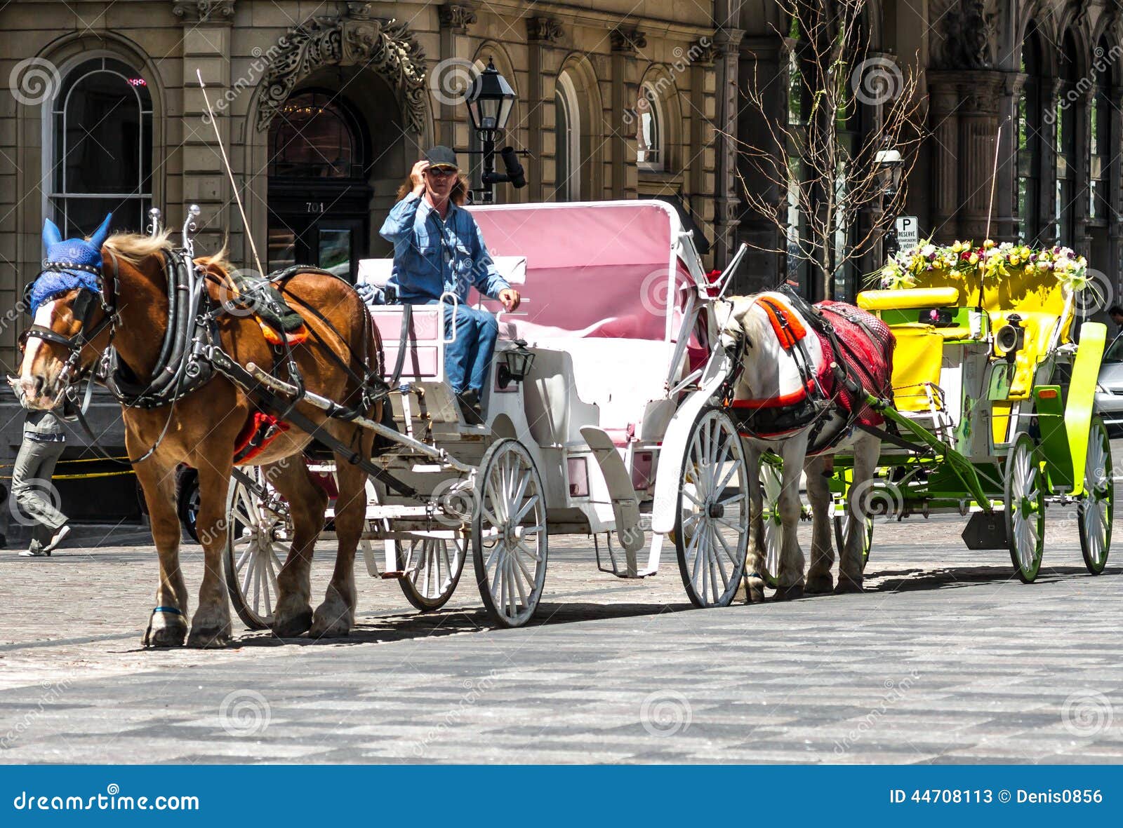 Carriage driver editorial stock photo. Image of arrival - 44708113
