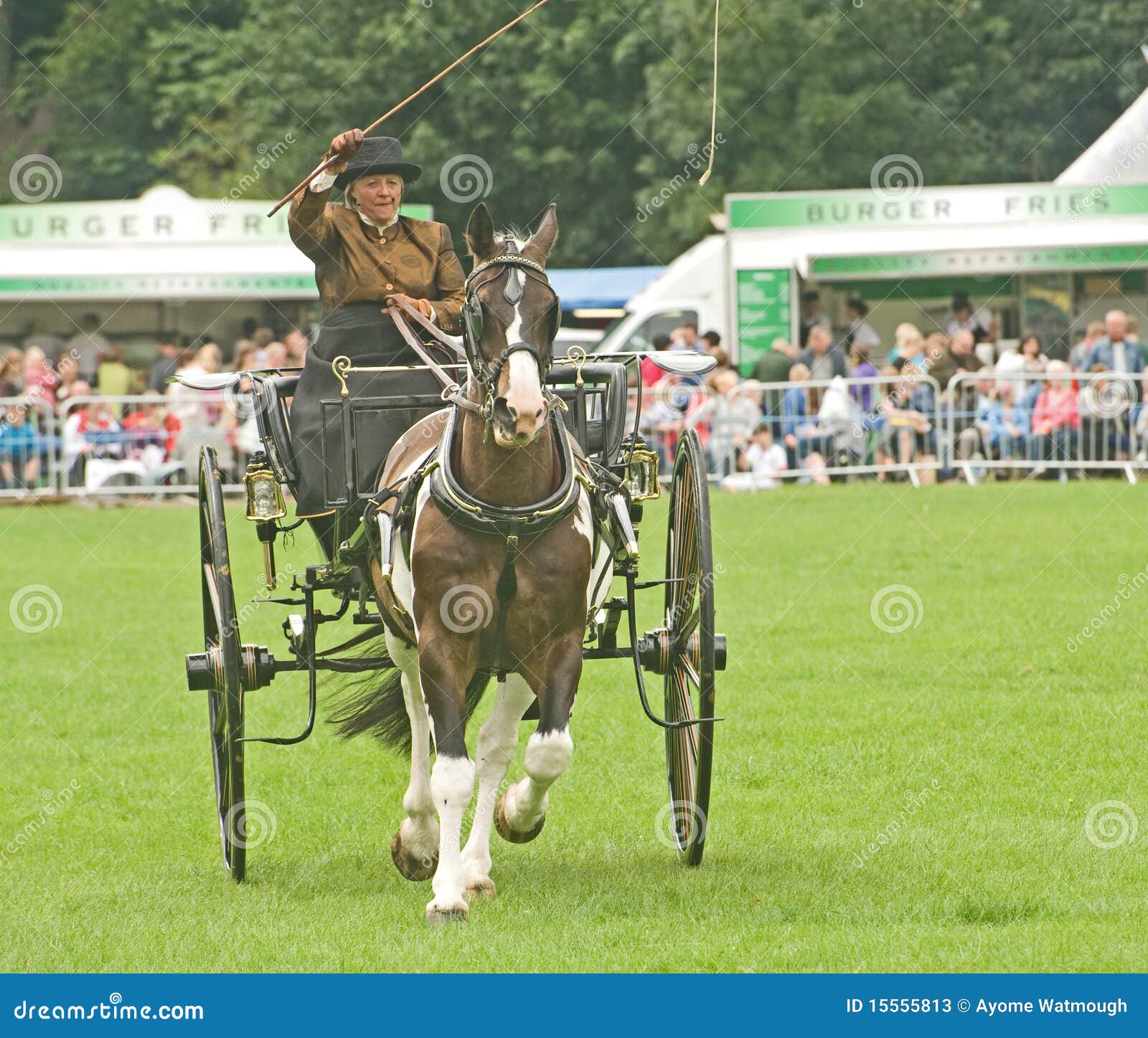 Carriage Driving Competition. Editorial Stock Photo - Image of horse ...
