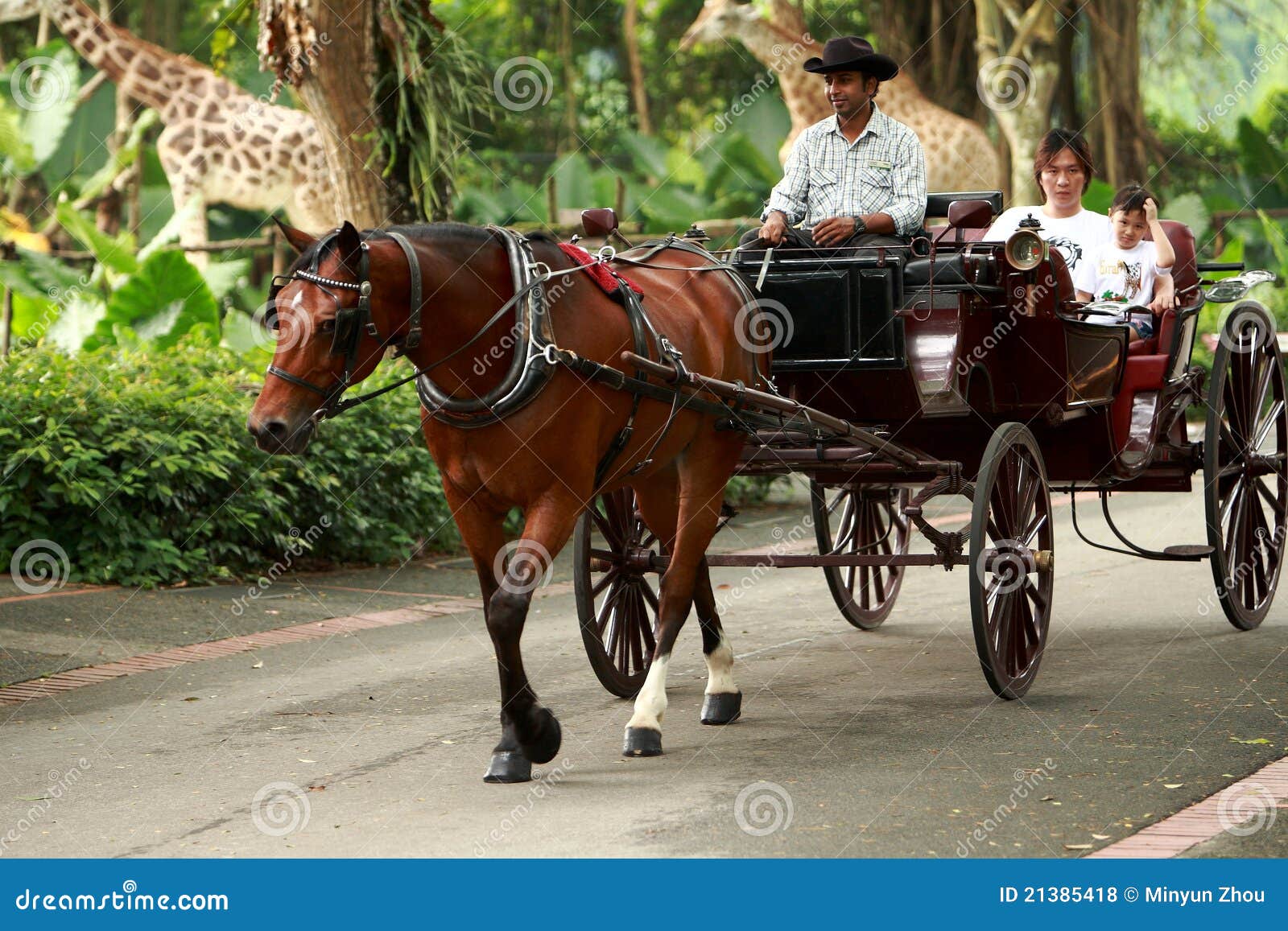 Carriage ride editorial stock photo. Image of carriage - 21385418