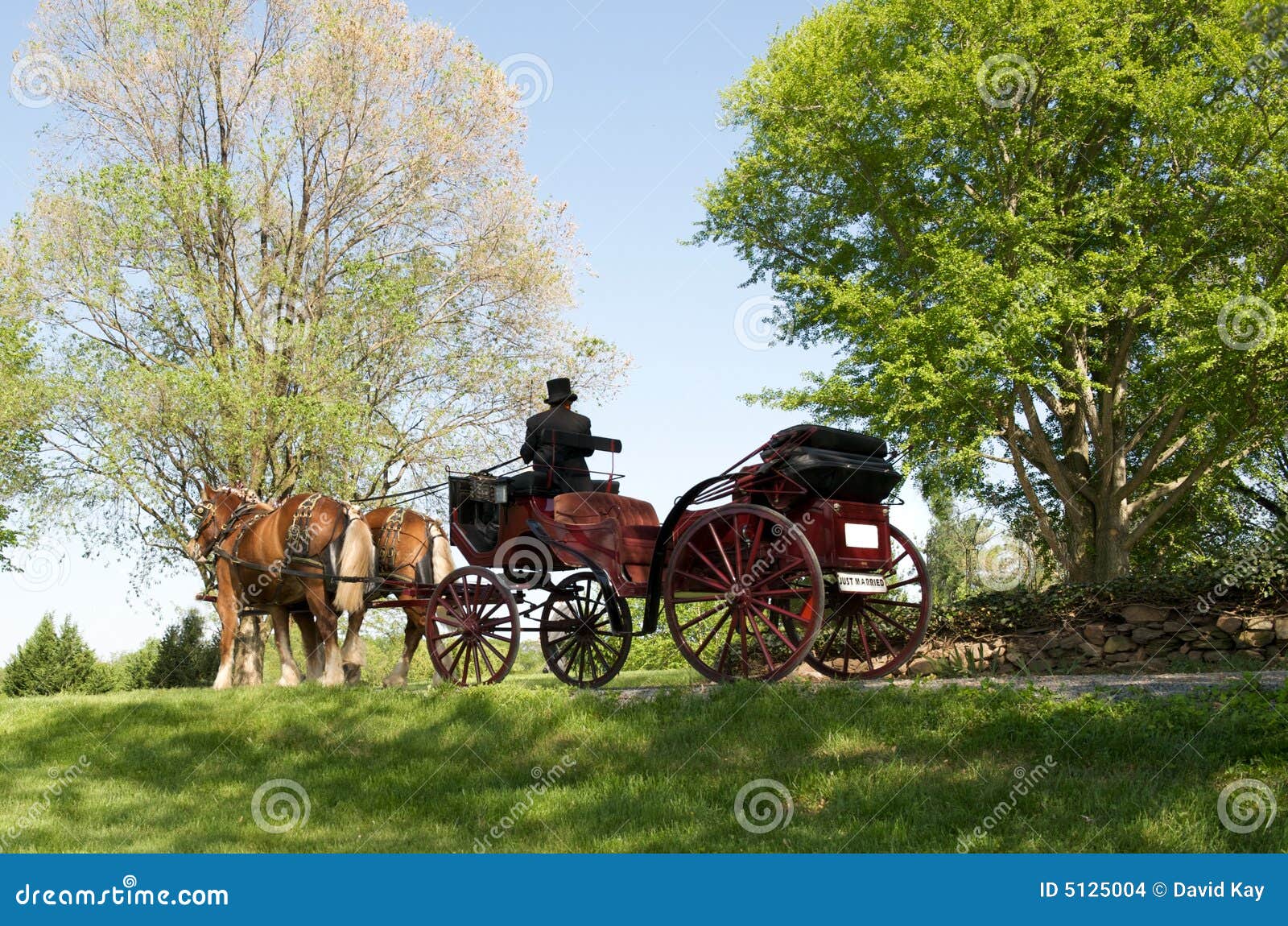 Carriage Ride stock photo. Image of green, glamor, carriage - 5125004