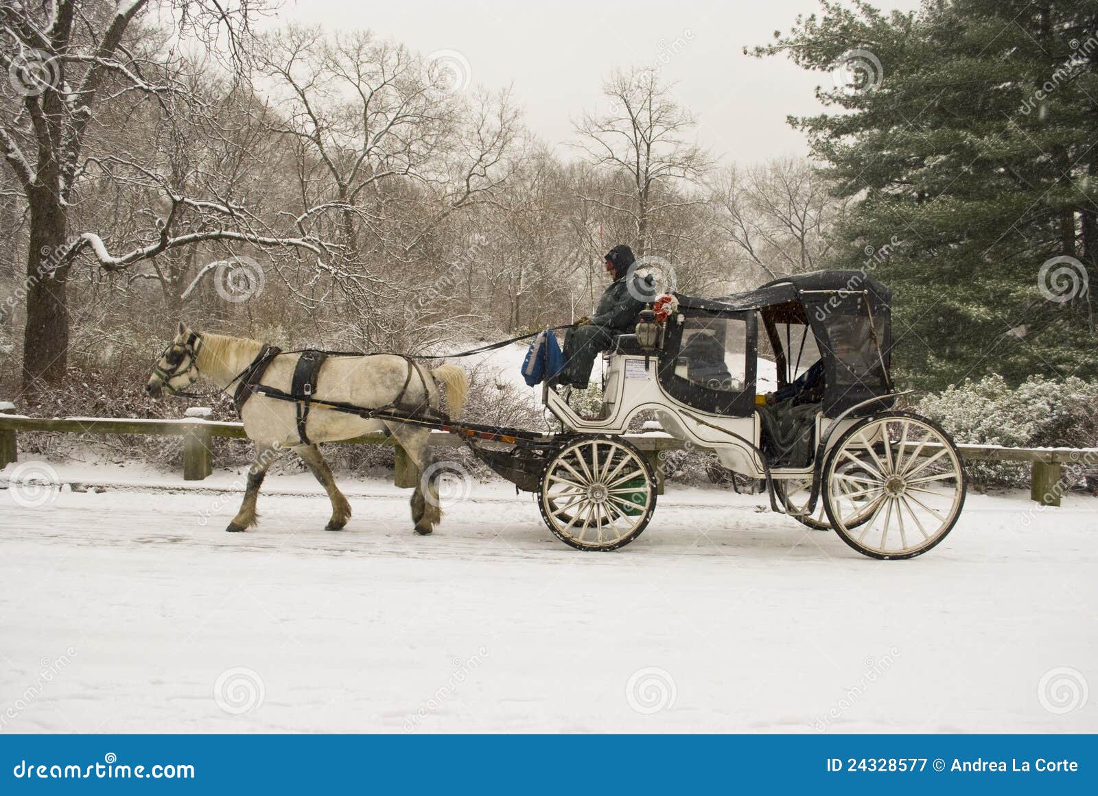 Carriage in the snow editorial photography. Image of snow - 24328577