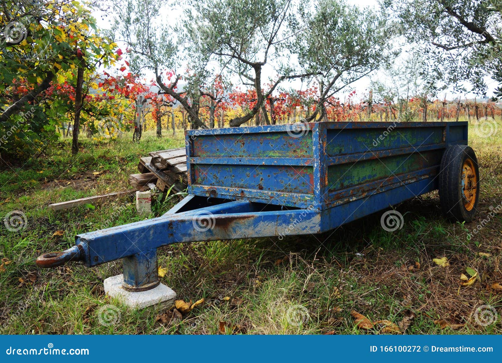 Carriage Trailer Rural Fields Crops Trees 库存照片 - 图片 包括有 农村, 庄稼: 166100272