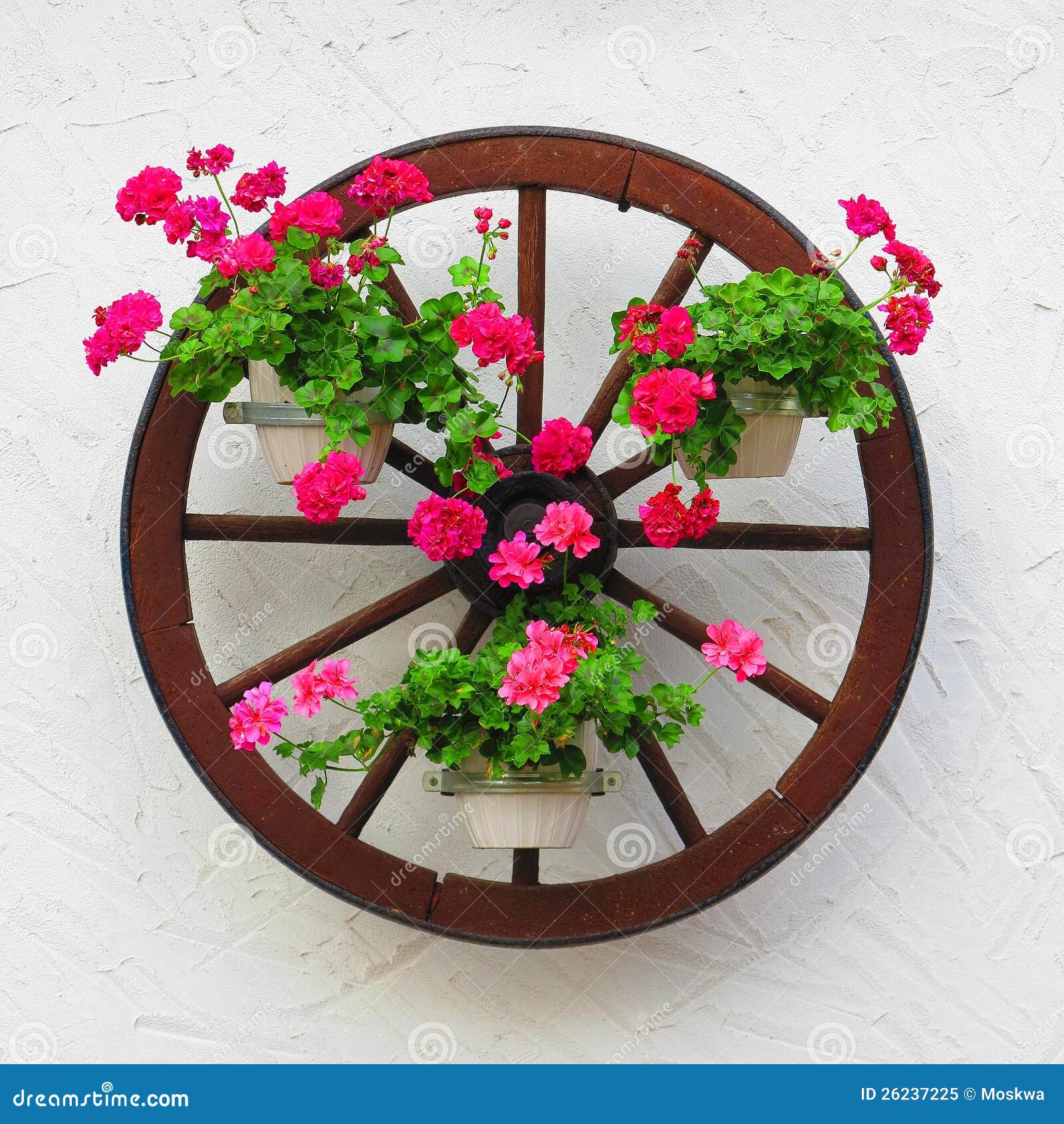 Carriage Wheel with Flowers Stock Image - Image of white, geranium ...