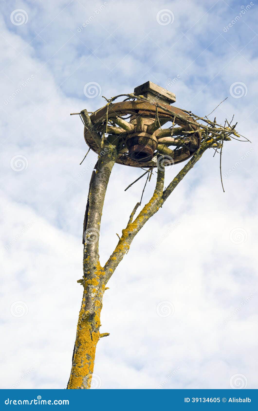Carriage Wheel on Tree for Stork Nest Stock Image - Image of carriage ...