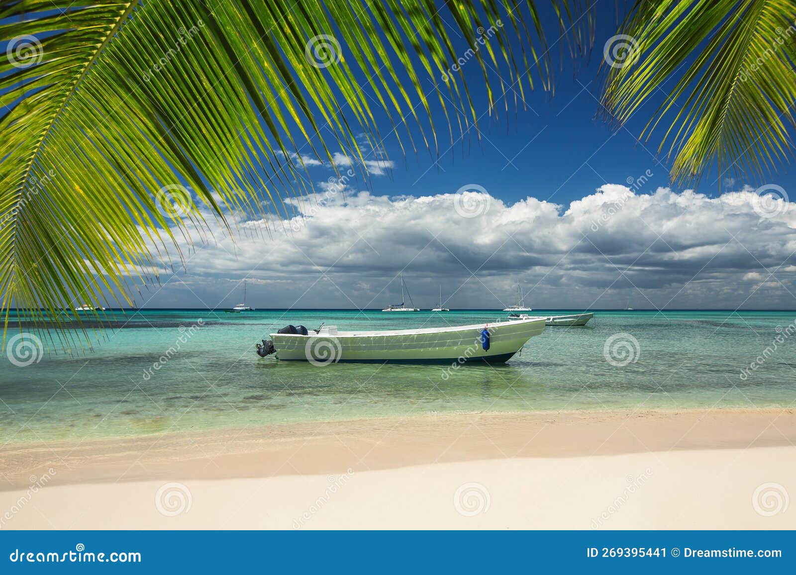 Caribbean Sea and Speedboat, Tropical Panoramic View from Exotic Island ...