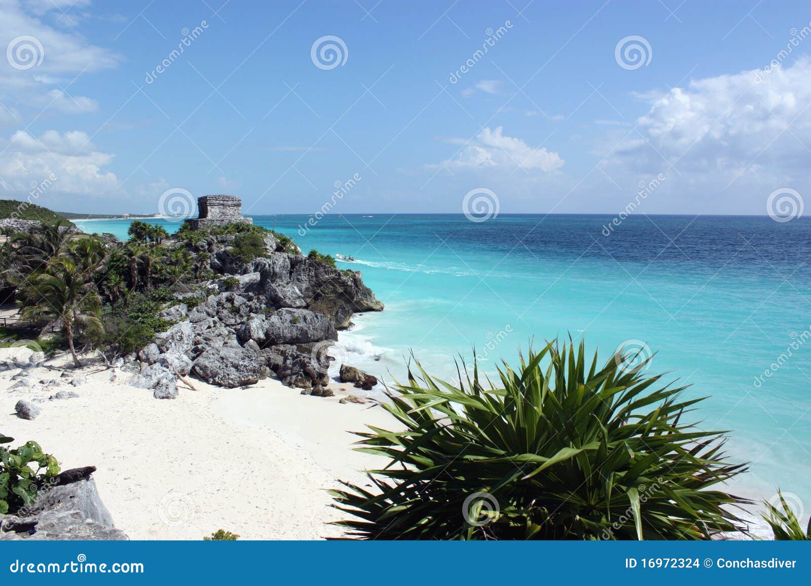 Carribean sea from tulum stock photo. Image of mexico - 16972324