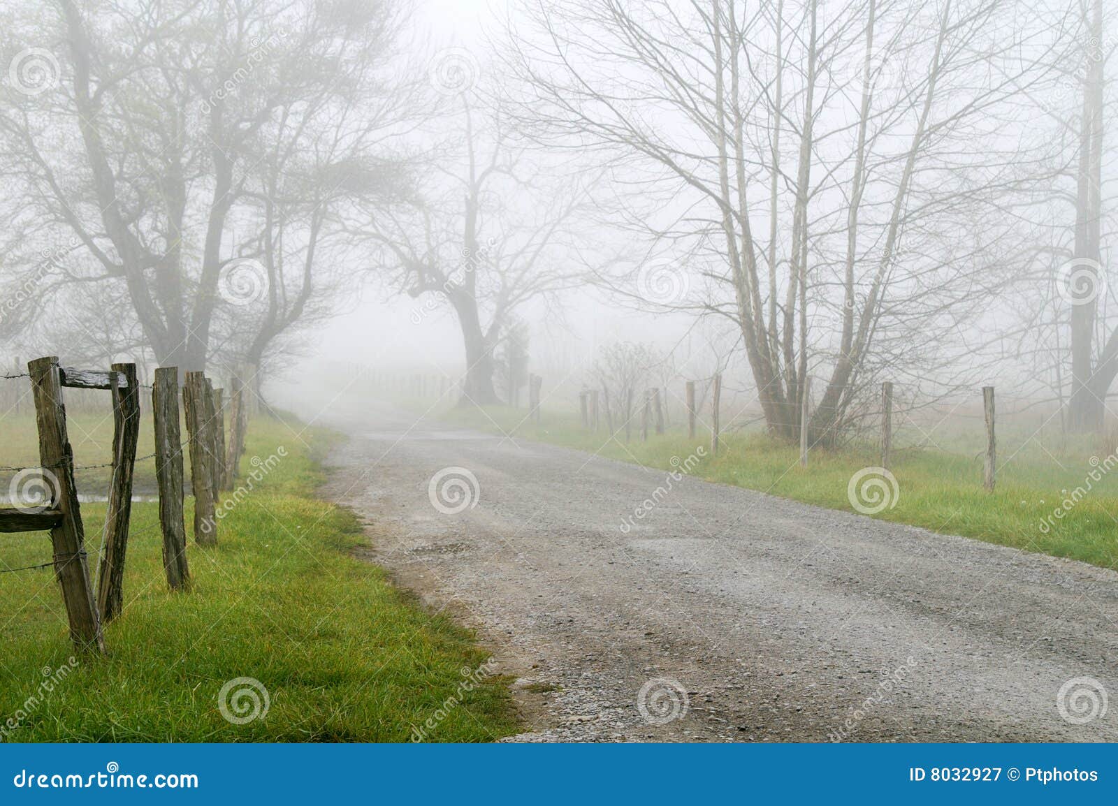 Carril Brumoso De Las Chispas Imagen de archivo - Imagen de ...