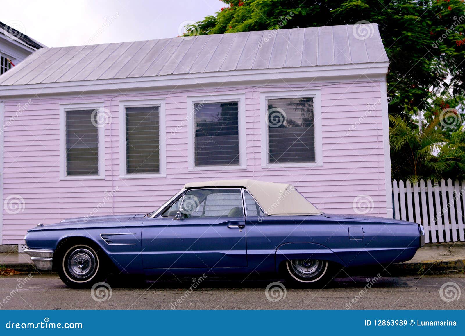 Carro Convertível Azul De Thunderbird Imagem de Stock - Imagem de ...