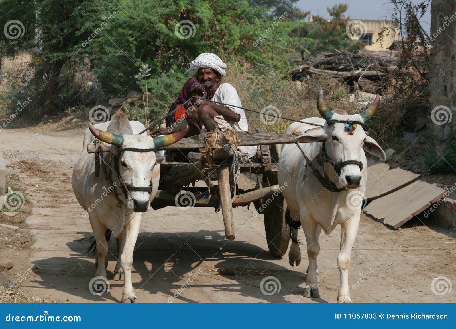 Carro de boi, India foto de stock editorial. Imagem de vila - 11057033