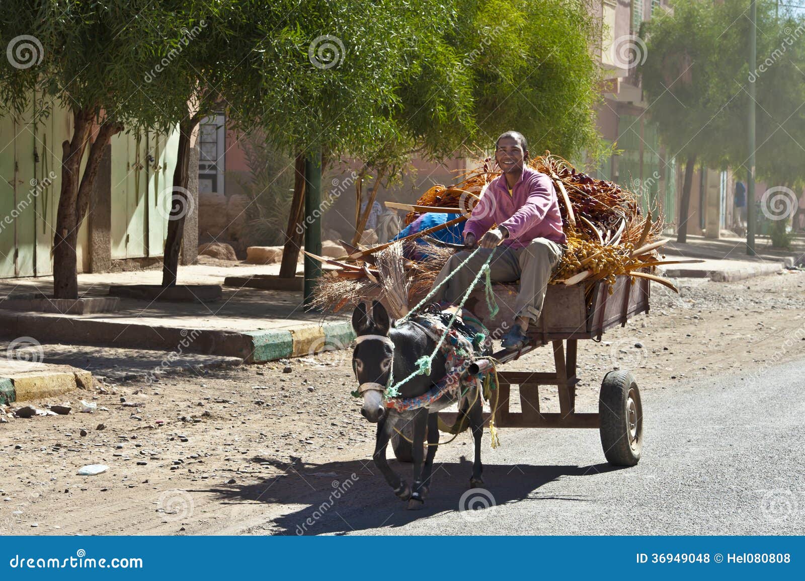 Carro de burro foto de archivo editorial. Imagen de cosecha - 36949048