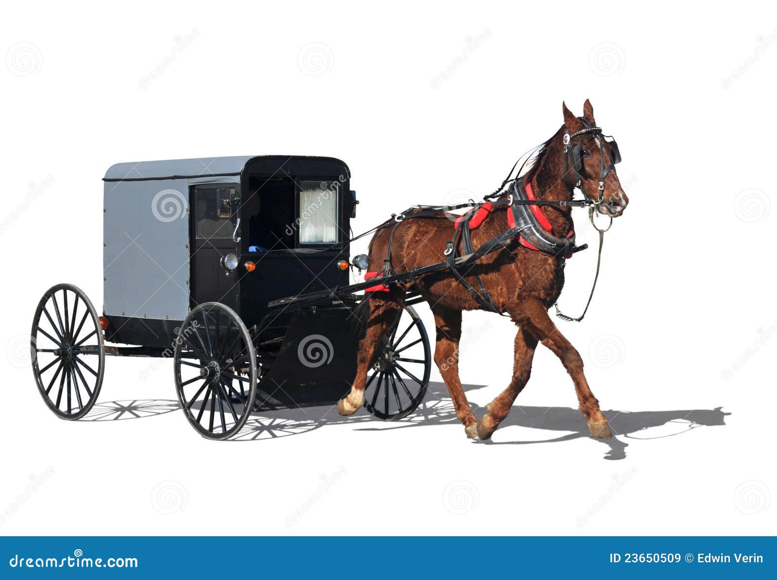 Carro horse-drawn de Amish imagem de stock. Imagem de isolado - 23650509
