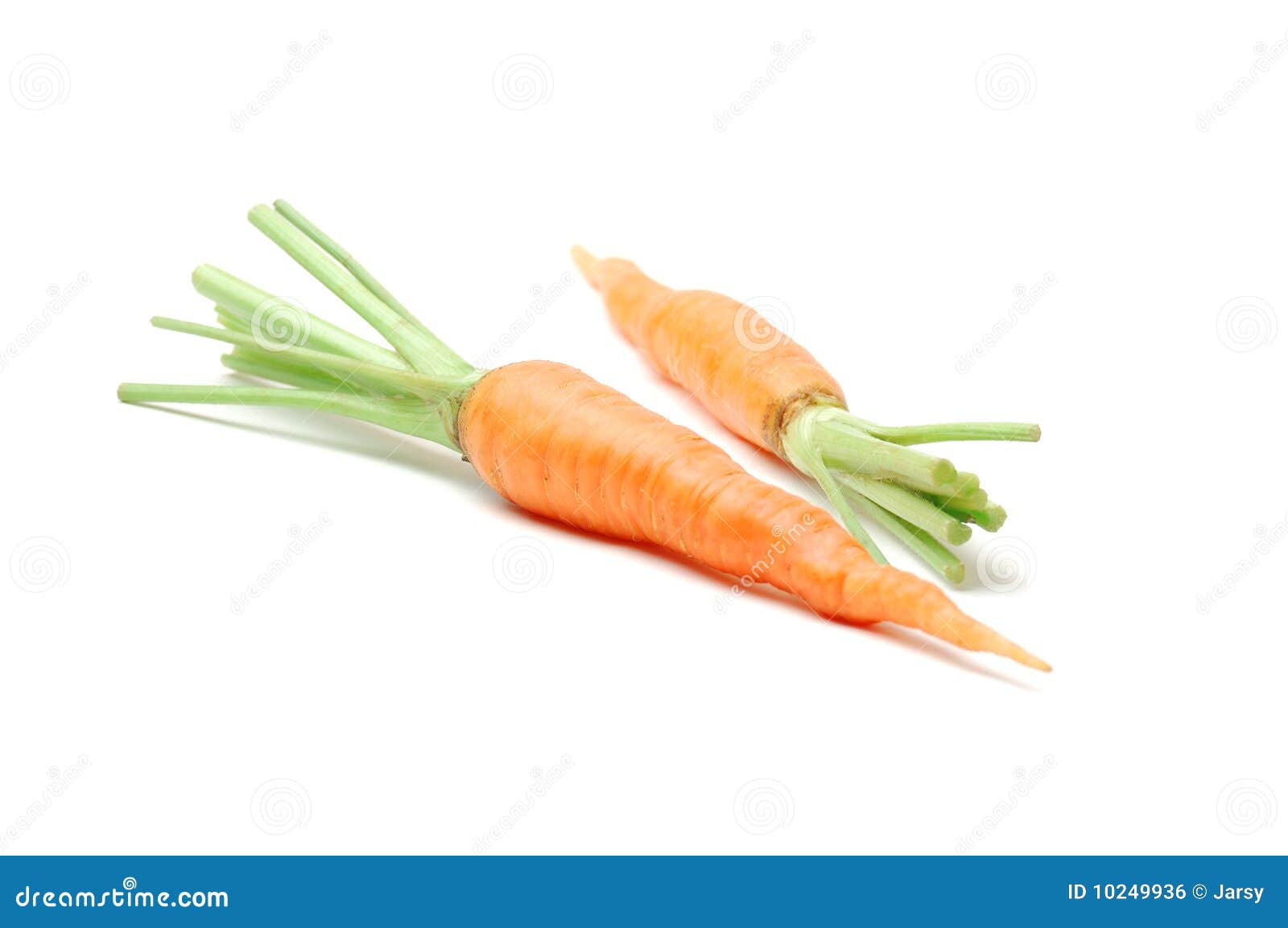 Carrot stock photo. Image of produce, horizontal, organic - 10249936