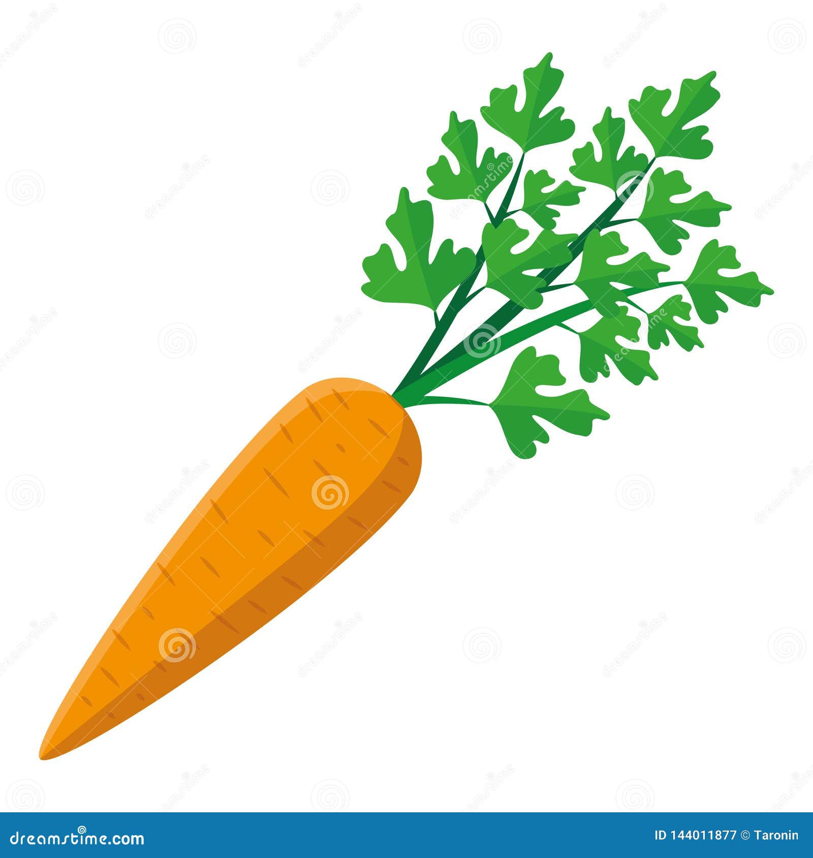 Orange carrot icon. stock vector. Illustration of decor - 144011877