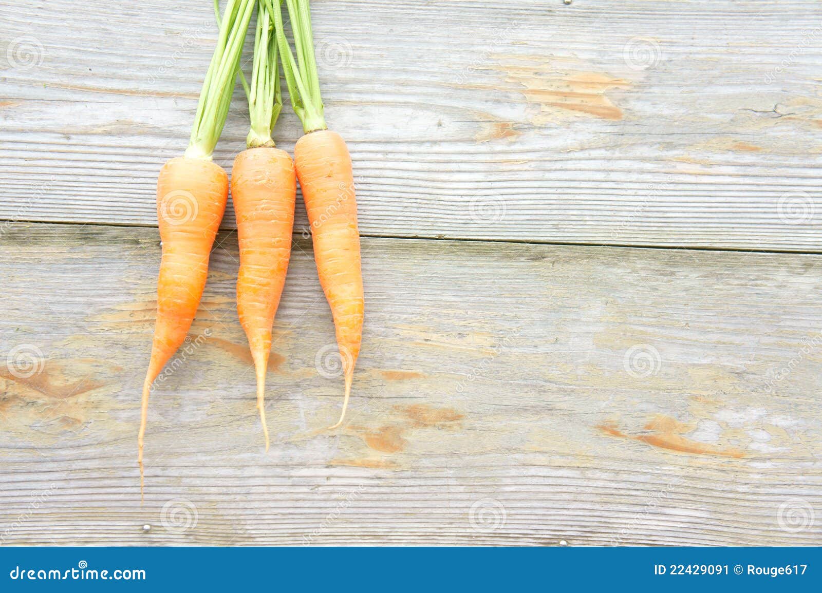 Carrot stock image. Image of food, kitchen, cooking, fresh - 22429091