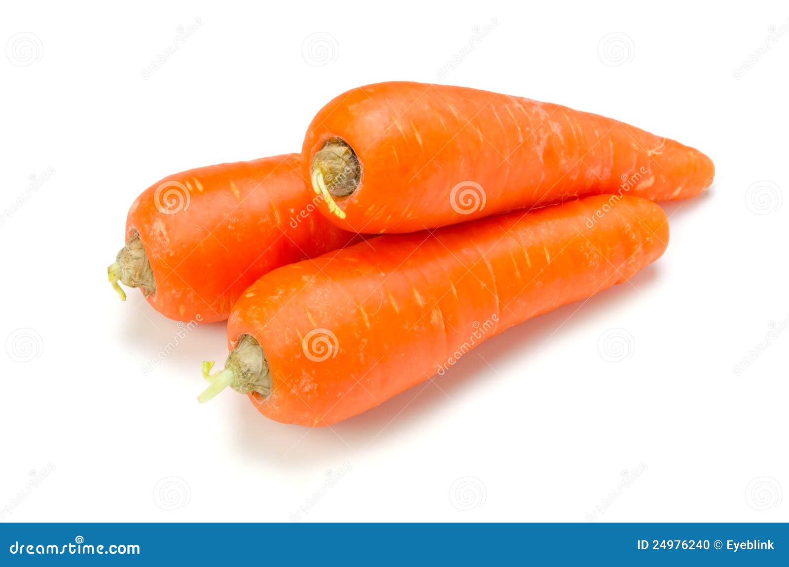 Carrot stock photo. Image of carota, fresh, vegetable - 24976240