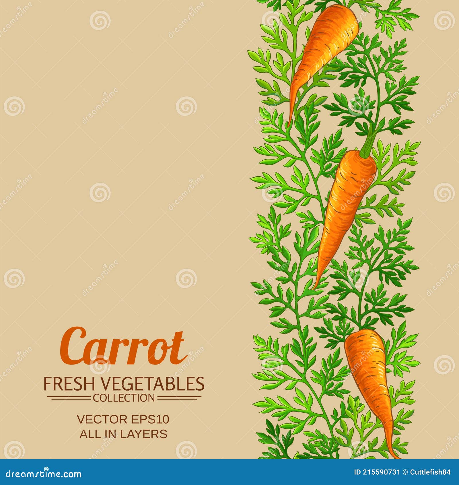 Carrot Background on Color Background Stock Vector - Illustration of ...