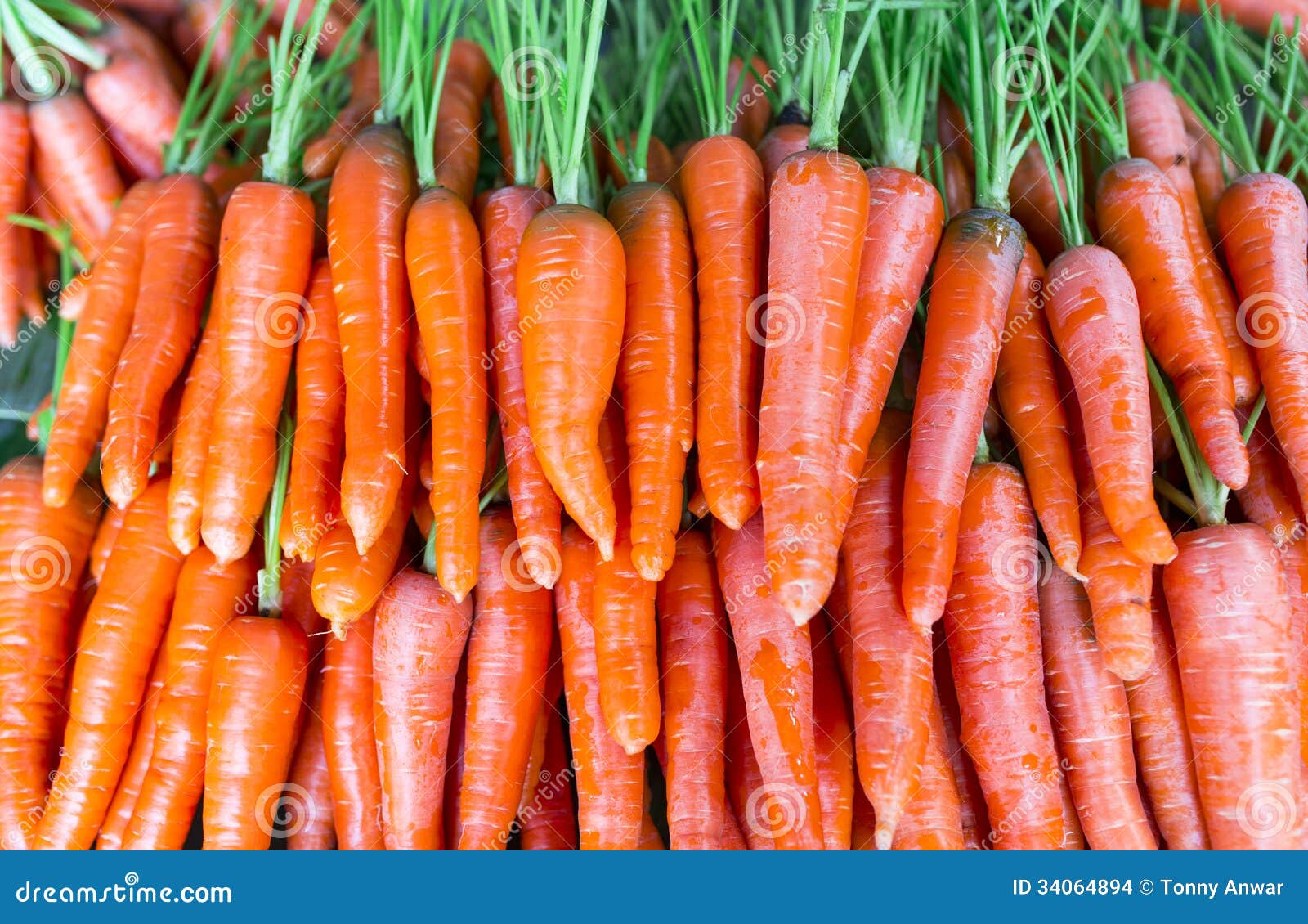 Carrot stock photo. Image of root, ingredient, orange - 34064894