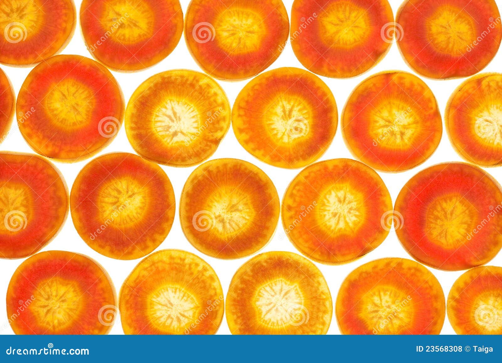 Anatomy Carrot Stock Photos - Free & Royalty-Free Stock Photos from ...